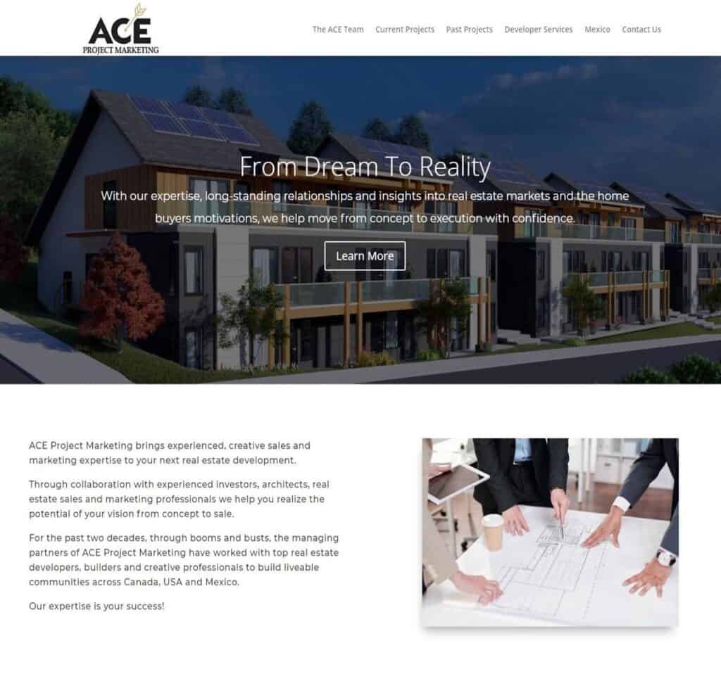 Ace Project Marketing - Unique Web Designer